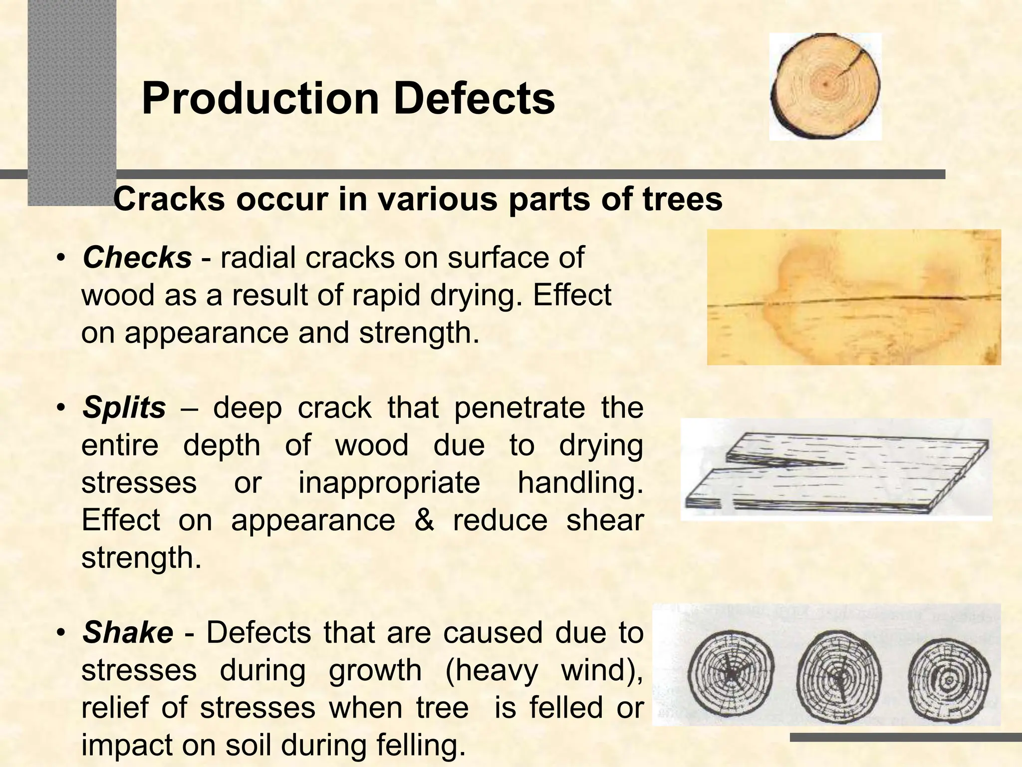chapter 1 lecture 06 -timber.ppt