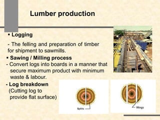 chapter 1 lecture 06 -timber.ppt | Woodworking | Arts and Crafts