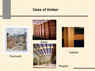 chapter 1 lecture 06 -timber.ppt | Woodworking | Arts and Crafts