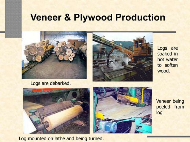 chapter 1 lecture 06 -timber.ppt | Woodworking | Arts and Crafts