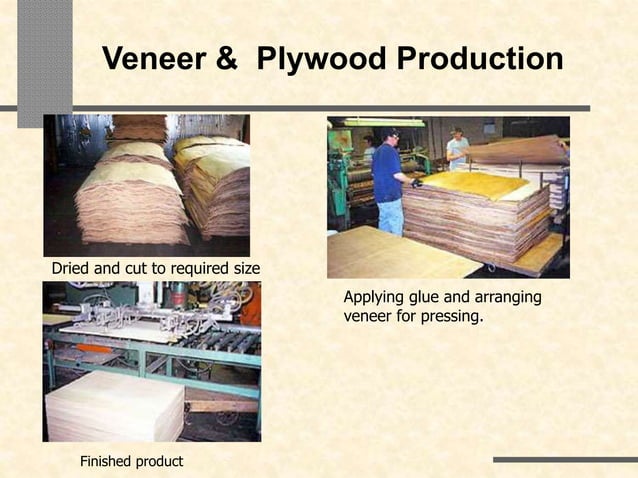 chapter 1 lecture 06 -timber.ppt | Woodworking | Arts and Crafts