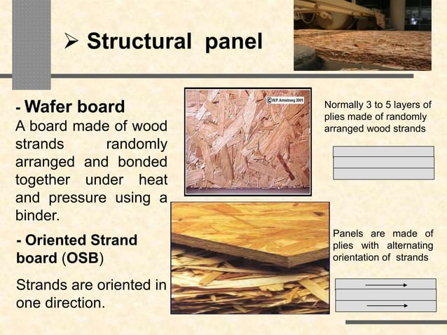 chapter 1 lecture 06 -timber.ppt | Woodworking | Arts and Crafts