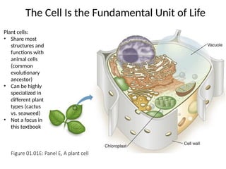 Chapter 1 lecture 1Introduction to cell.pptx