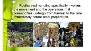 Chapter 1 lecture Postharvest handling ppt | PPTX