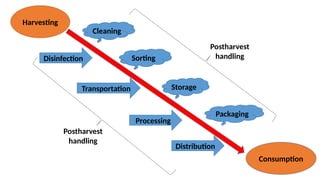 Chapter 1 lecture Postharvest handling ppt | PPTX