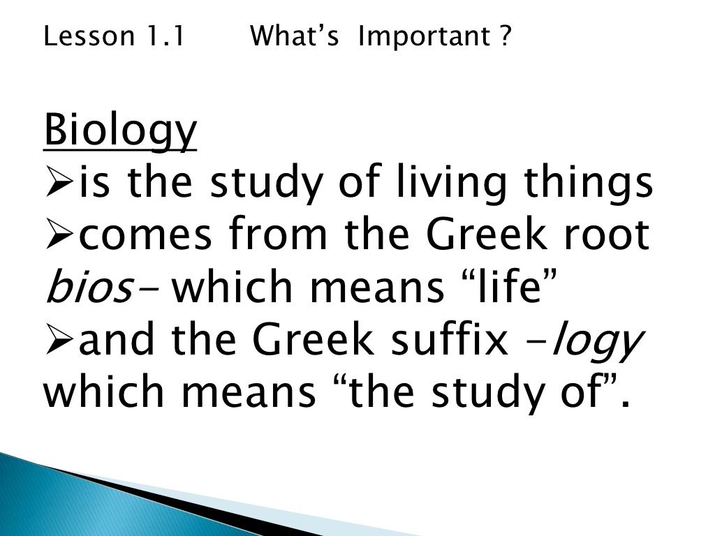 Biology Lesson 1 1 biology-lesson-1-1