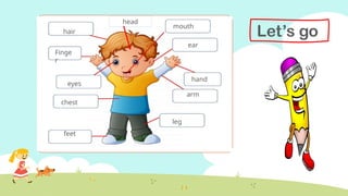 human body parts ( parts / functions).. | PPTX