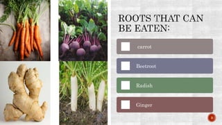 Edible parts of the plants | PPTX