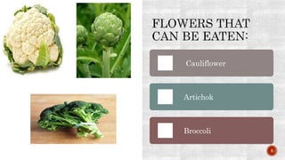 Edible parts of the plants | PPTX
