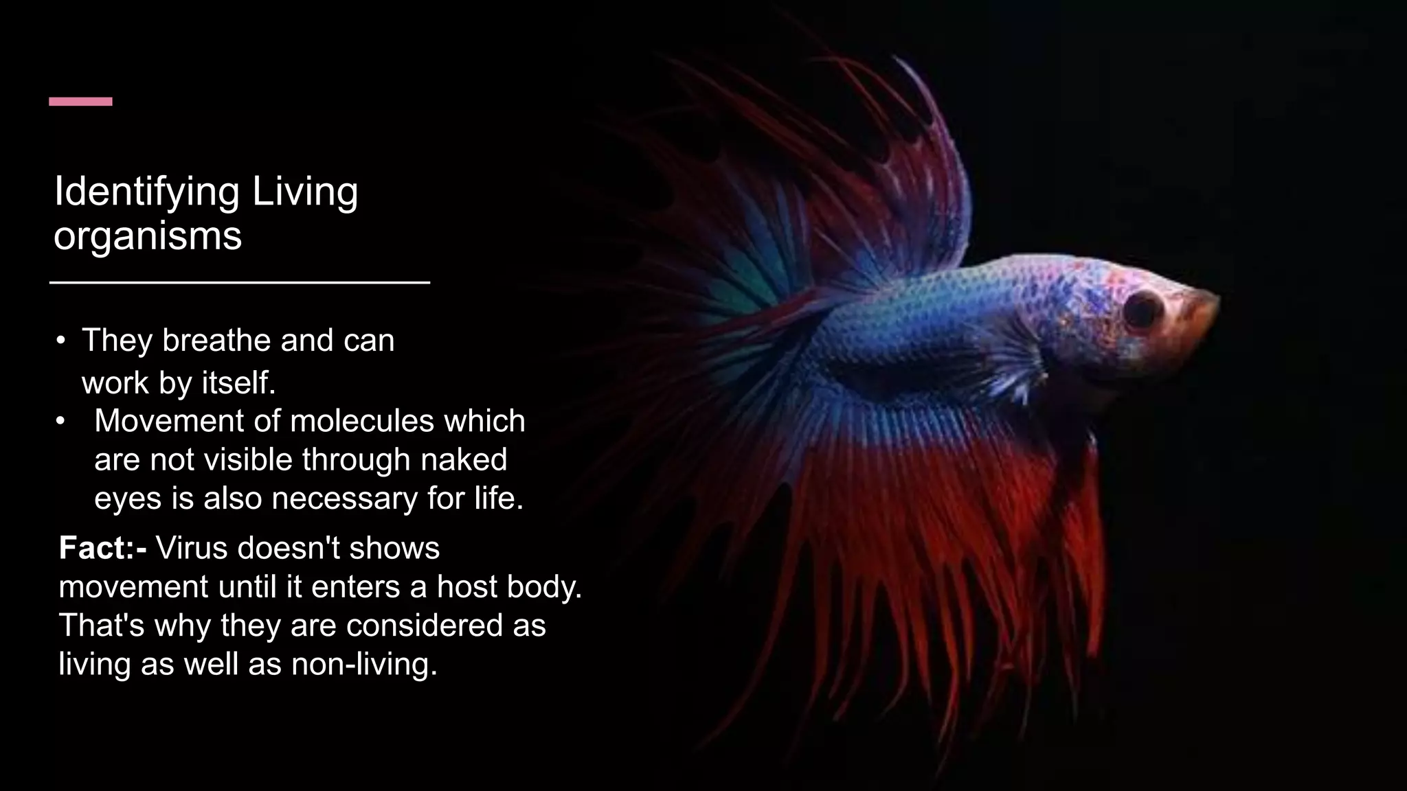 Chapter 1 Life processes (Class X) Usacademy.in | Digestive Disorders ...