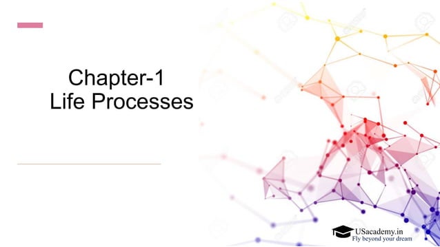 Chapter 1 Life processes (Class X) Usacademy.in | Digestive Disorders ...