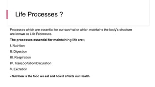 Chapter 1 Life processes (Class X) Usacademy.in