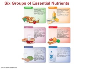 Chapter 1 Linking Food and Health | PPTX