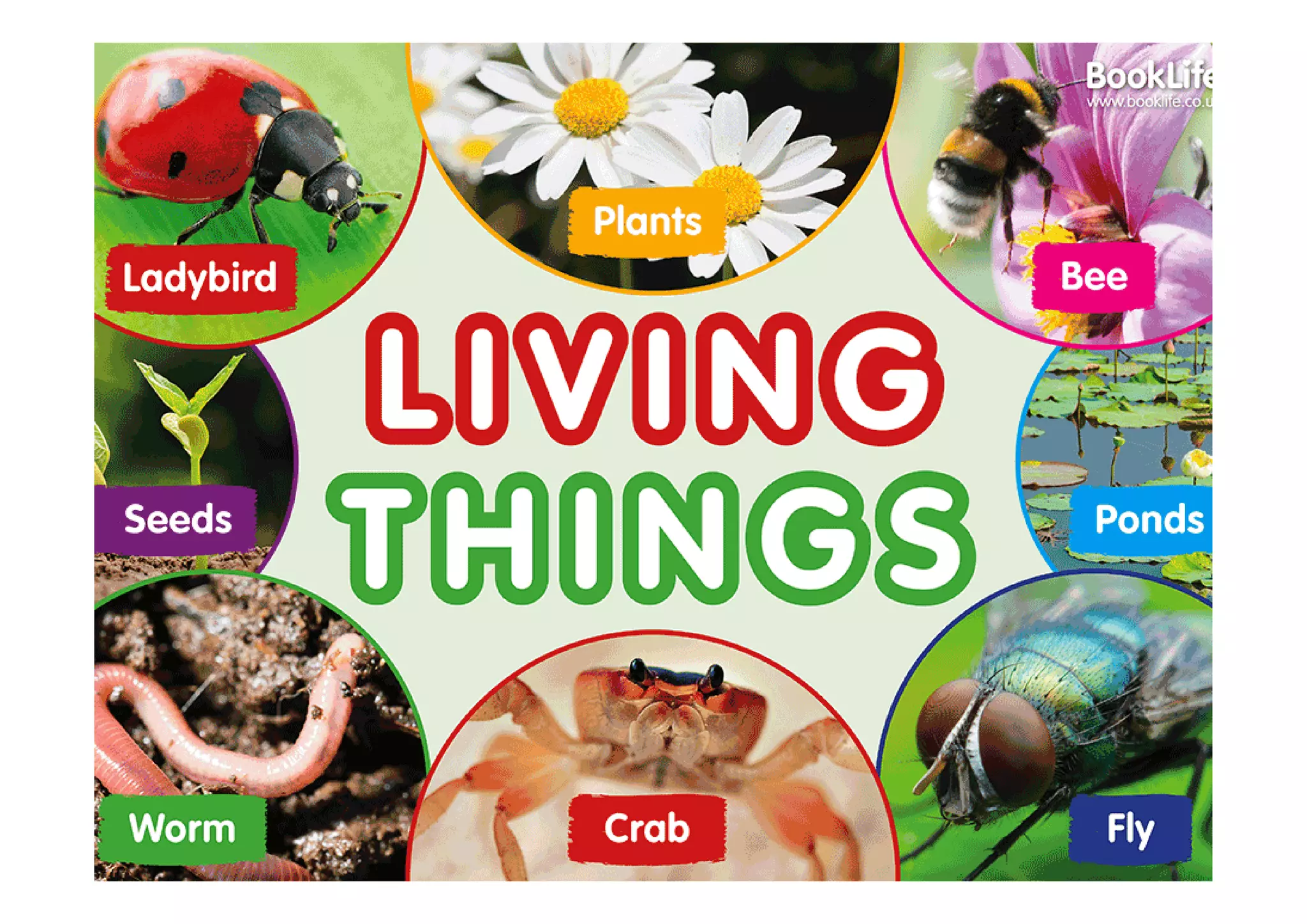 Chapter 1 living things | PDF
