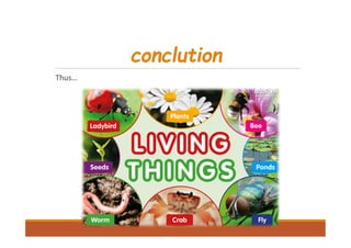 Chapter 1 living things | PPT