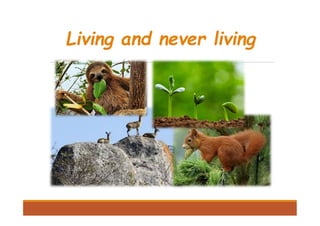 Chapter 1 living things | PDF