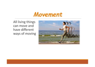 Chapter 1 living things | PPT