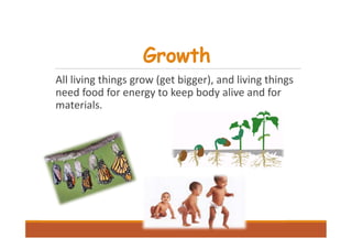 Chapter 1 living things | PDF