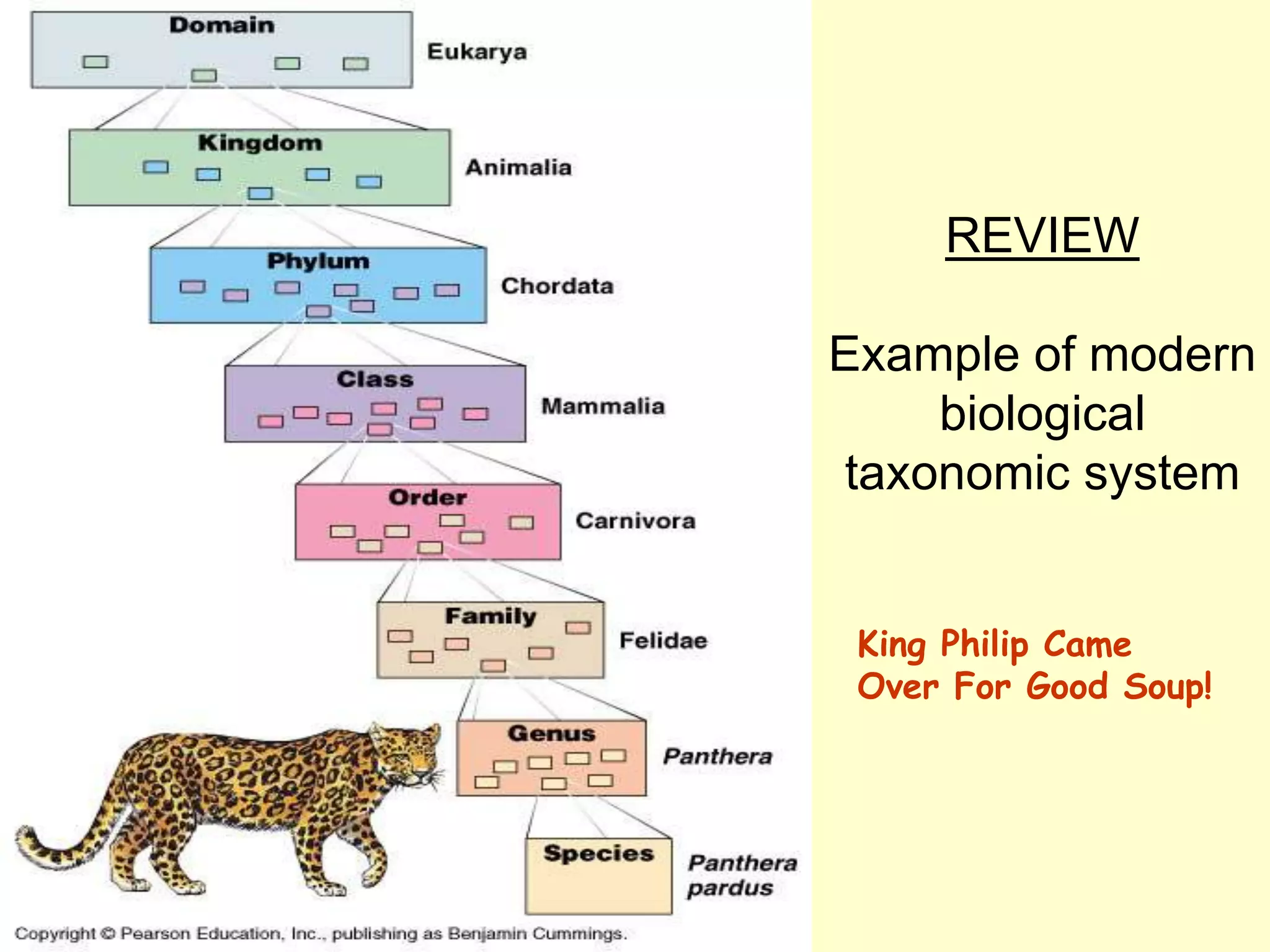 Chapter 1 main themes in microbiology | PPT | Free Download