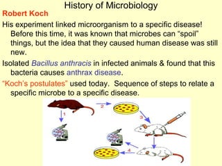 Chapter 1 main themes in microbiology | PPT