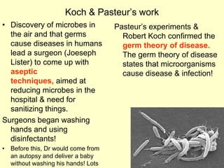 Chapter 1 main themes in microbiology | PPT