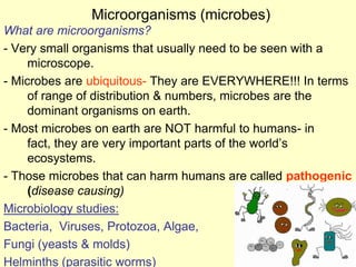 Chapter 1 main themes in microbiology | PPT