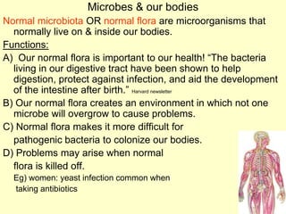 Chapter 1 main themes in microbiology | PPT | Free Download