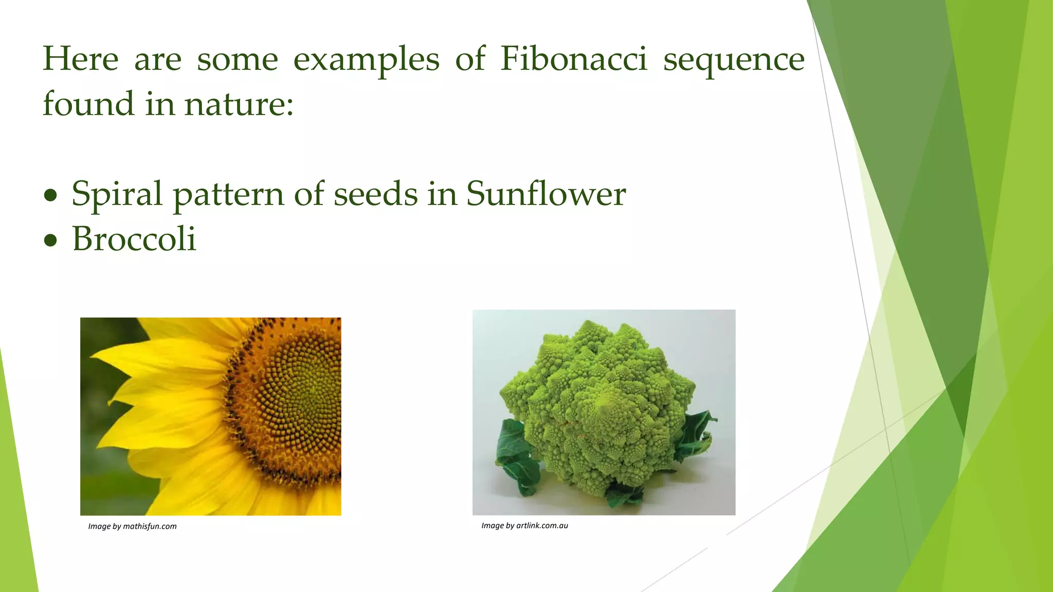 Chapter 1 Mathematics in our World.pdf