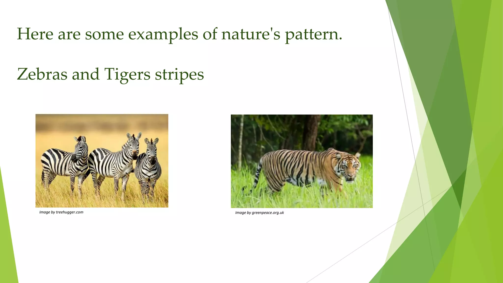 Chapter 1 Mathematics in our World.pdf