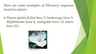 Chapter 1 Mathematics in our World.pdf