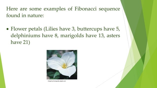 Chapter 1 Mathematics in our World.pdf | Chemistry | Science