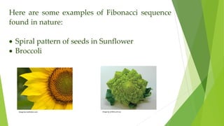 Chapter 1 Mathematics in our World.pdf