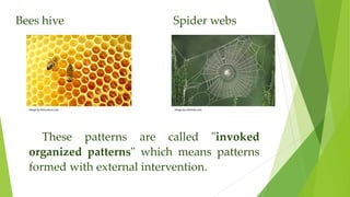 Chapter 1 Mathematics in our World.pdf