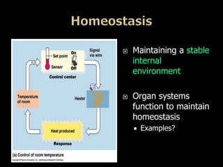 Chapter_1_Notes-teacher.ppt