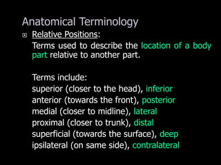Chapter_1_Notes-teacher.ppt