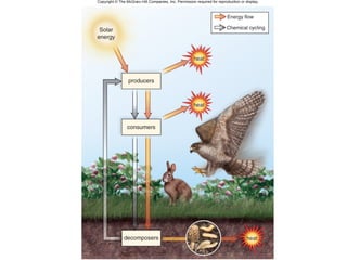 Bio 100 Chapter 1 | PPT | Gardening | Home & Garden