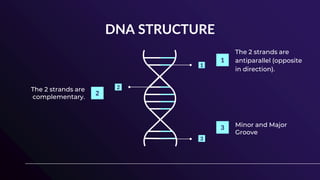 CHAPTER 1 NUCLEIC ACID STRUCTURE AND ORGANIZATION.pptx