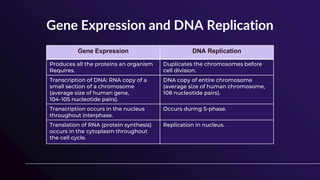 CHAPTER 1 NUCLEIC ACID STRUCTURE AND ORGANIZATION.pptx