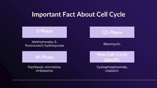 CHAPTER 1 NUCLEIC ACID STRUCTURE AND ORGANIZATION.pptx