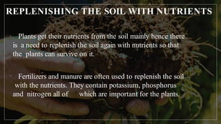 Chapter 1 Nutrition in plants science chapter | PPTX