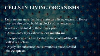 Chapter 1 Nutrition in plants science chapter | PPT