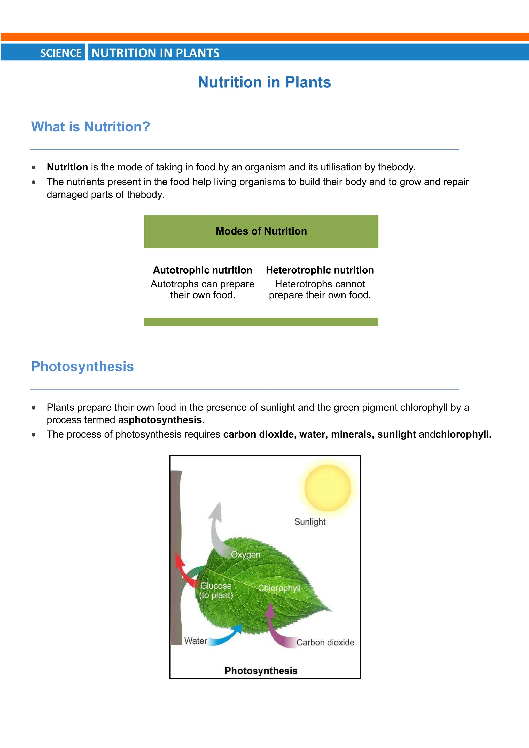 CBSE - Grade 7 - Science - Ch 1 - Nutrition in Plants - Notes (PDF ...
