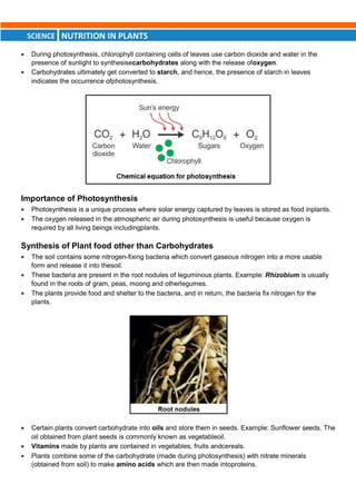 CBSE - Grade 7 - Science - Ch 1 - Nutrition in Plants - Notes (PDF ...
