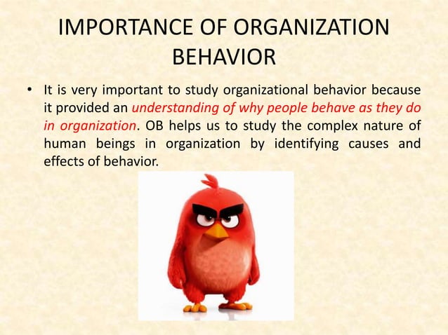 Introduction to Organizational Behavior | PPTX
