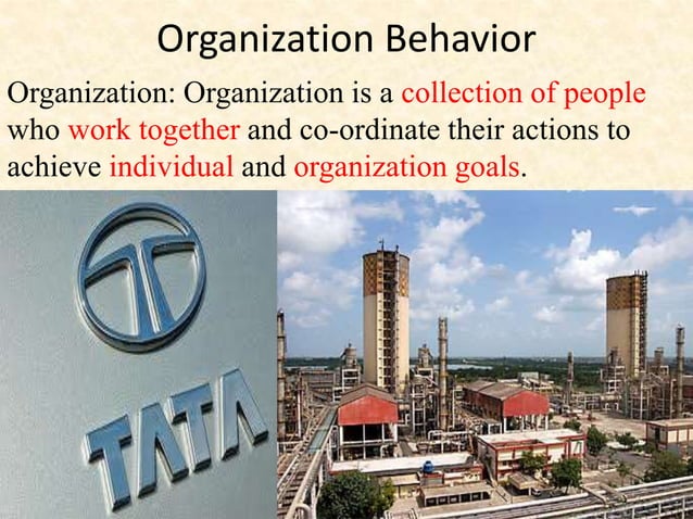 Introduction to Organizational Behavior | PPTX