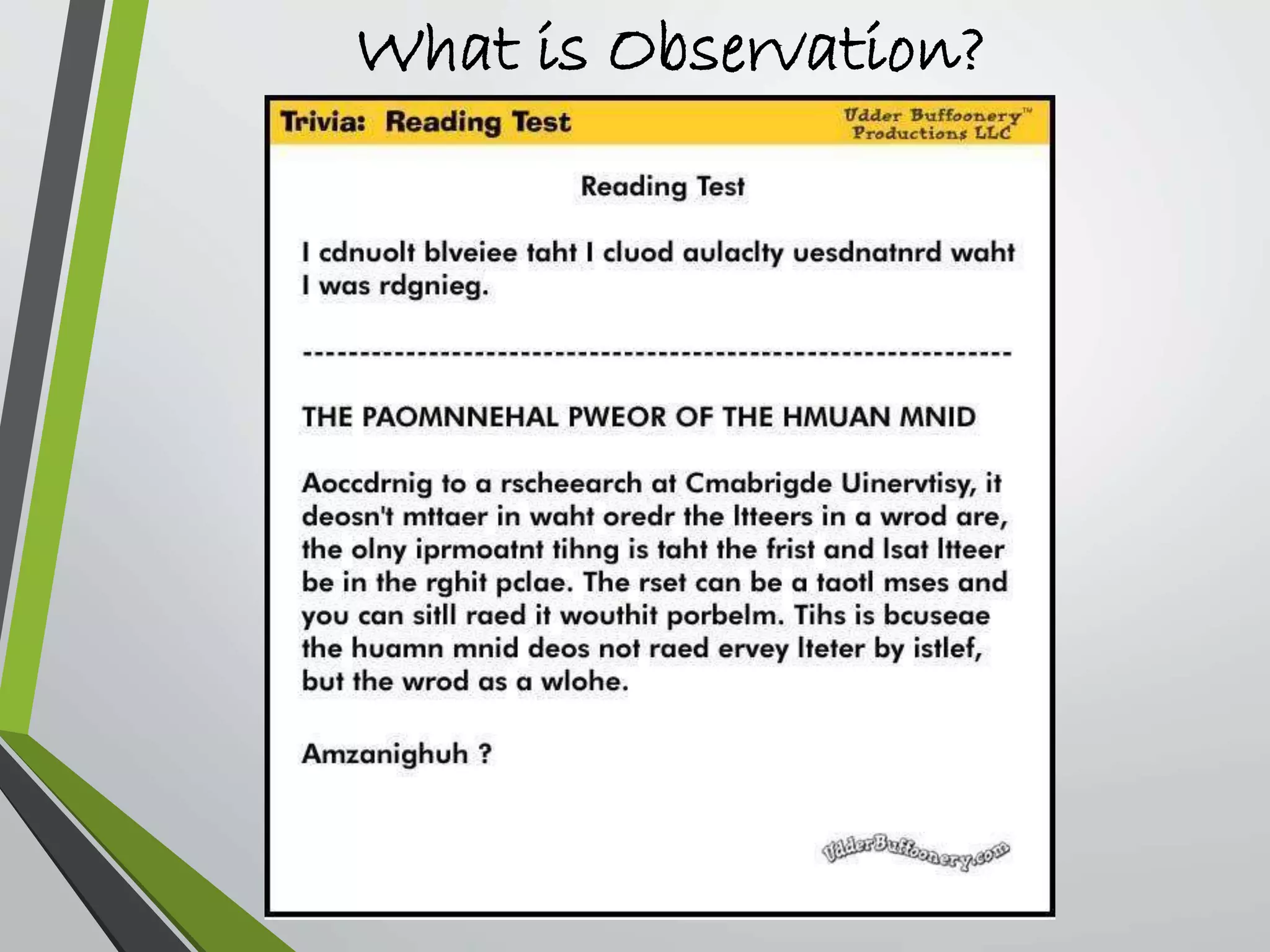 Chapter 1 Observation Skills | PPTX