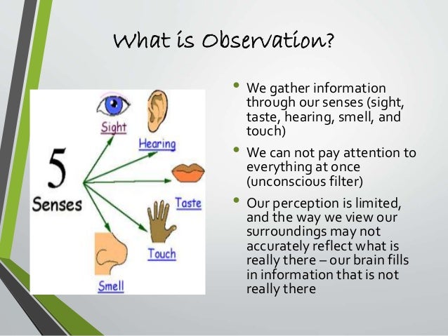 Chapter 1 Observation Skills