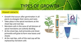 (Chapter 1) Organisation of Plant Tissue and Growth.pptx