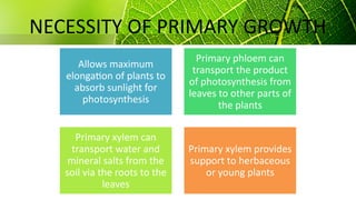(Chapter 1) Organisation of Plant Tissue and Growth.pptx