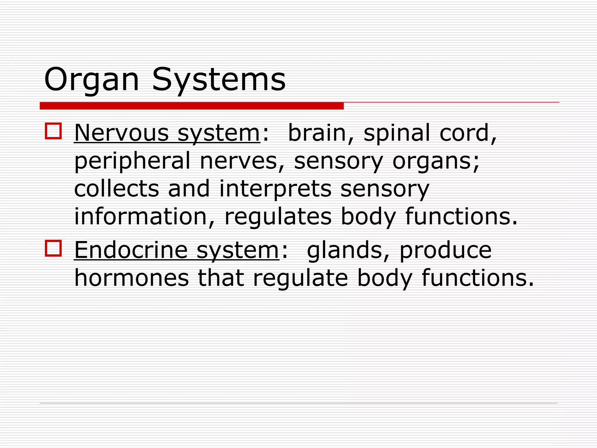 Chapter 1--Organization and General Plan of the Body | PPT